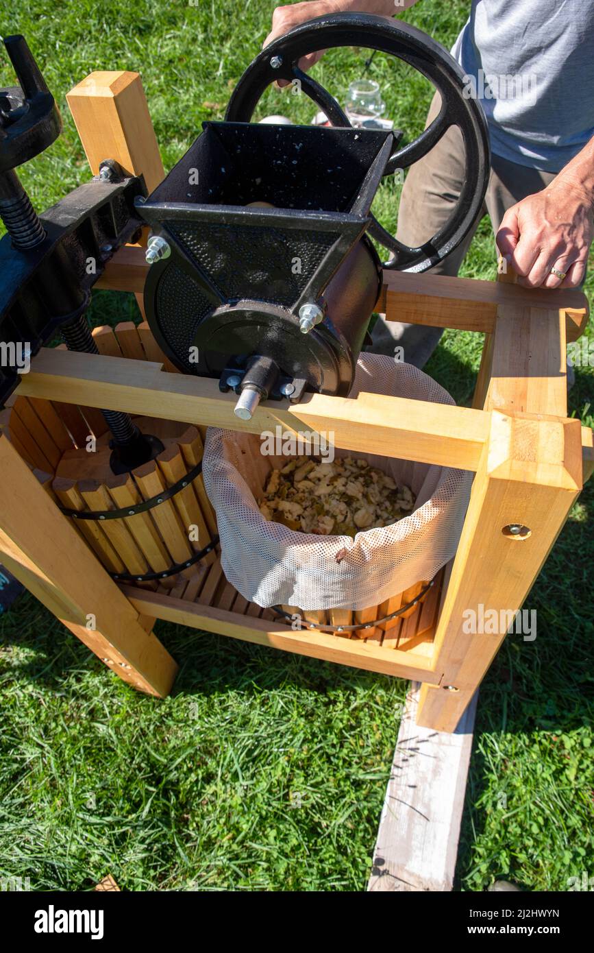 A man turns the apple grinder flywheel on an outdoor wooden cider press ...