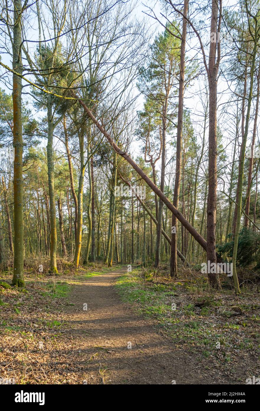 Fallen natives hi-res stock photography and images - Alamy