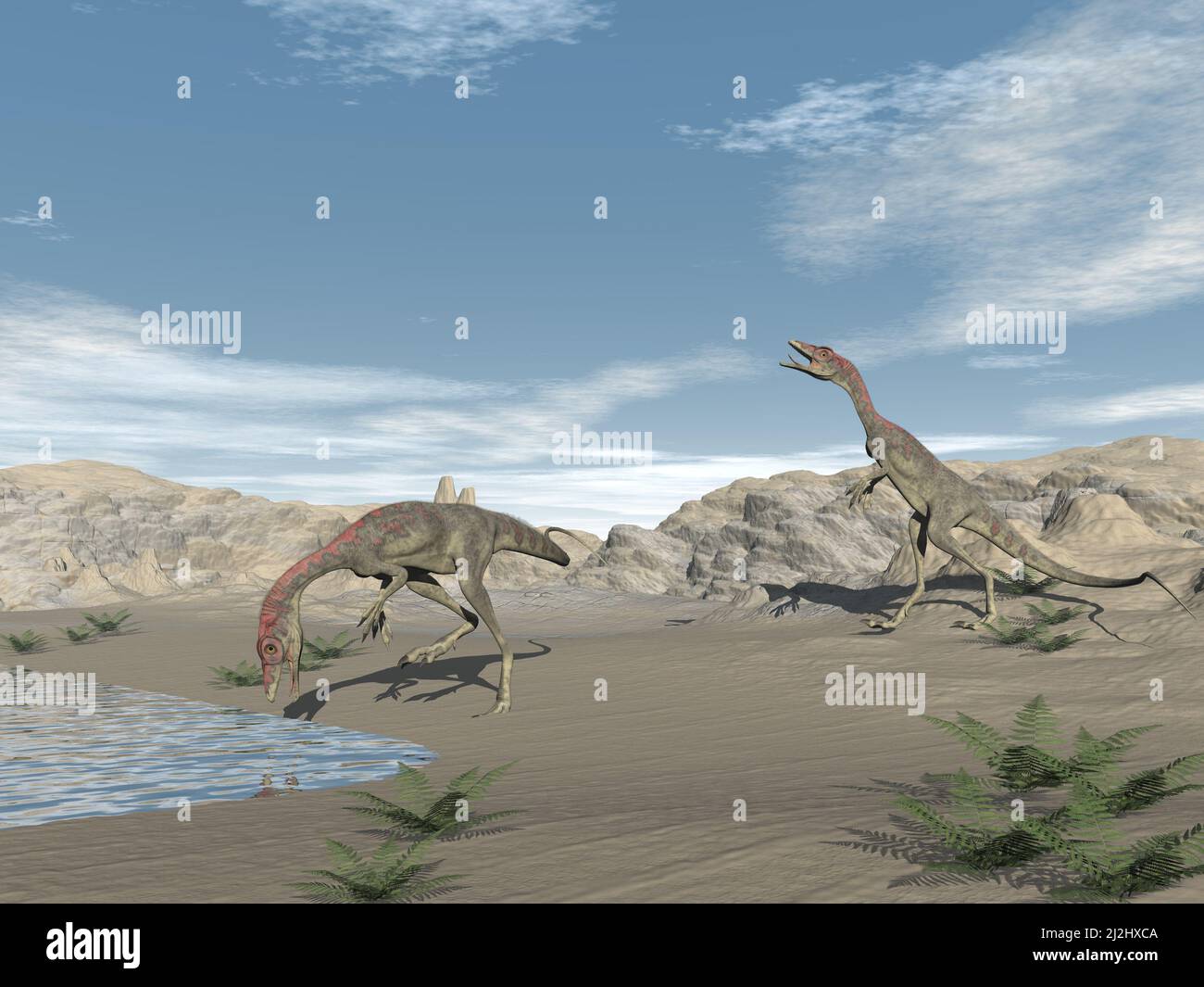 Compsognathus dinosaurs in the desert - 3D render Stock Photo - Alamy