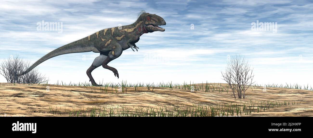 Nanotyrannus dinosaur in the desert - 3D render Stock Photo - Alamy