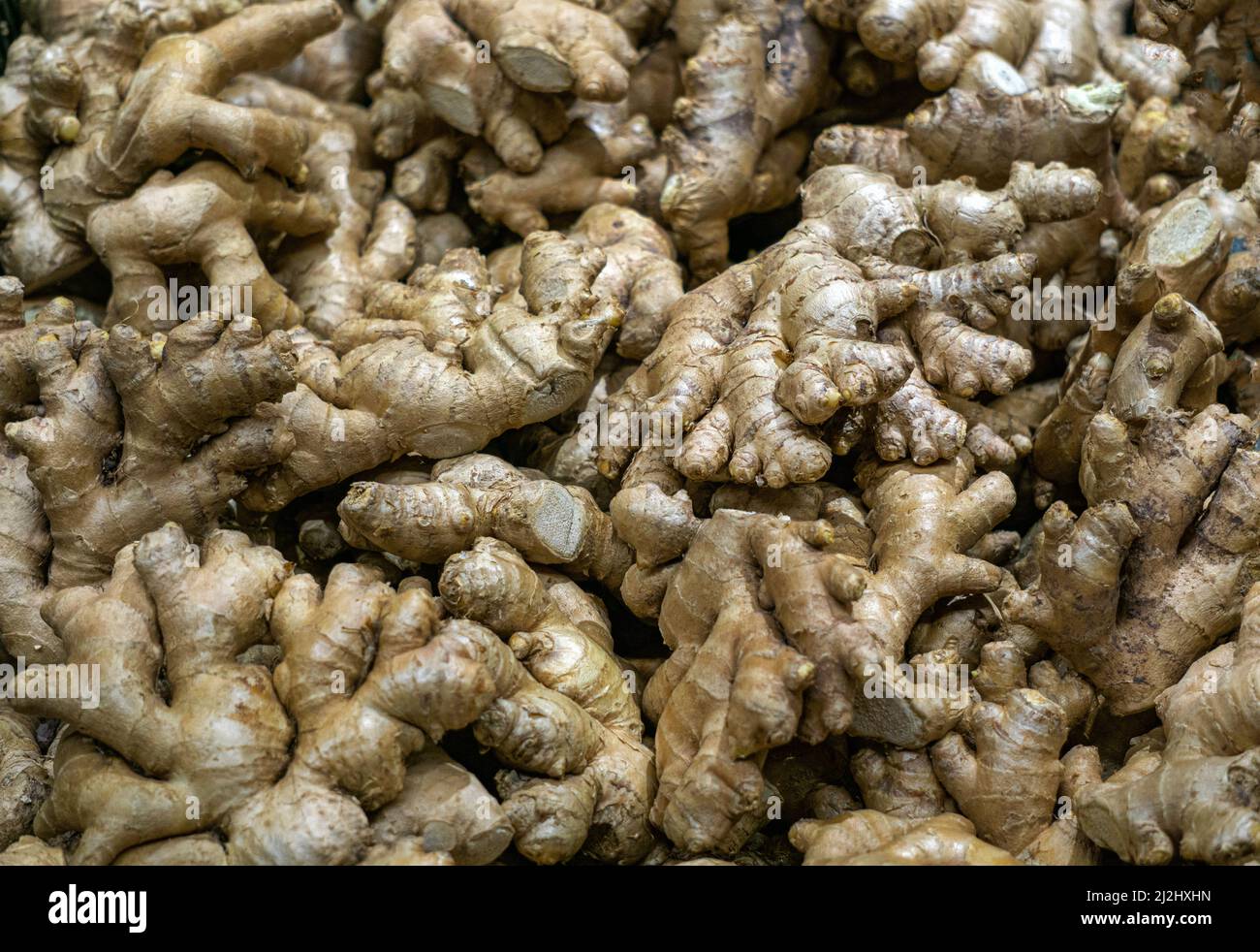 Spicy ginger roots cut hi-res stock photography and images - Alamy