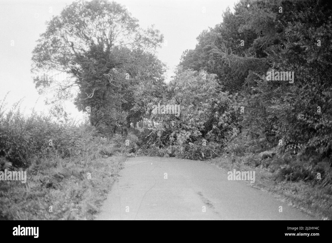 The Great Storm October 1987. Our Picture Shows . . . storm damage ...