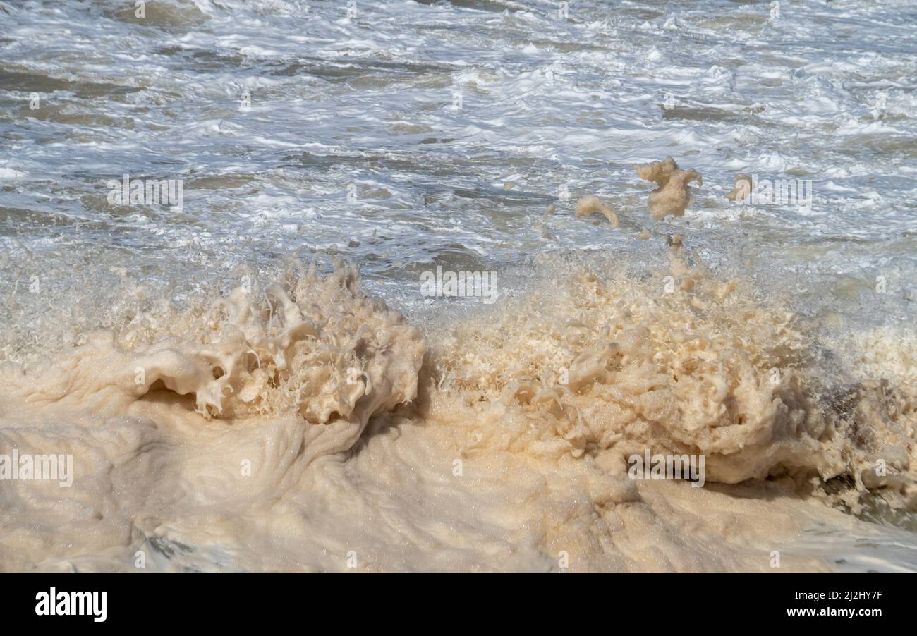 Frothy ocean waves mixing with the sand on the beach, breaking near the ...