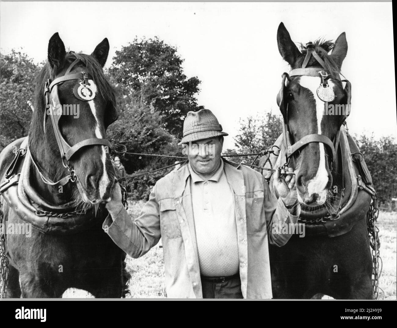 Ploughing champion Thomas Cliff with his horses at the Brailsford and ...