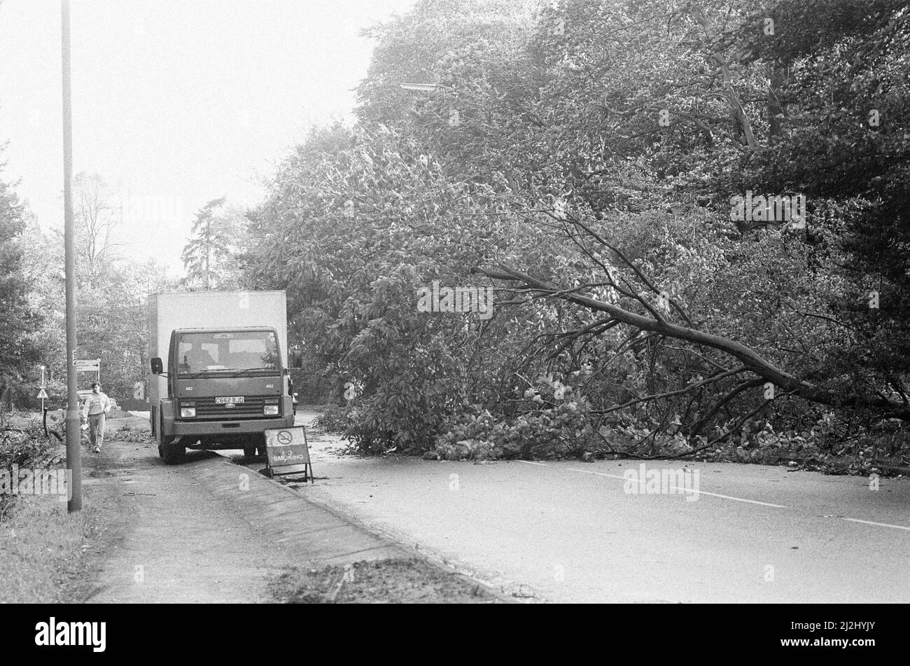The Great Storm October 1987. Our Picture Shows . . . storm damage ...