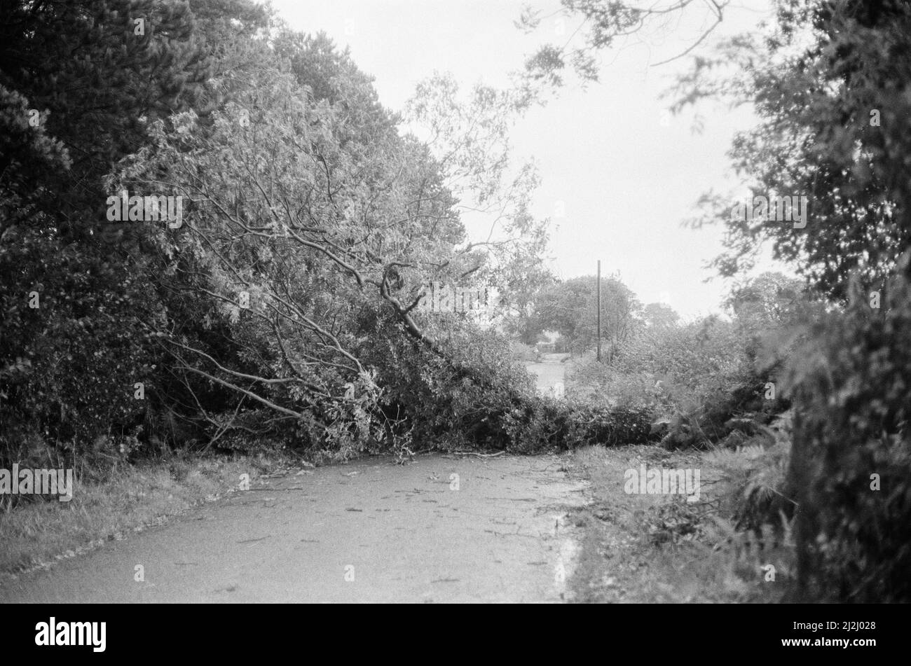 The great storm 1987 uk Black and White Stock Photos & Images - Alamy