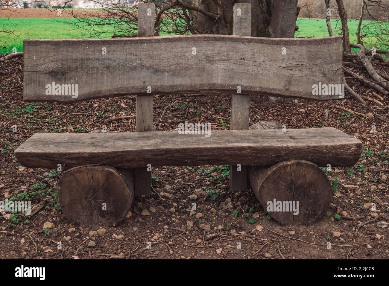 Non timber forest product hi-res stock photography and images - Alamy