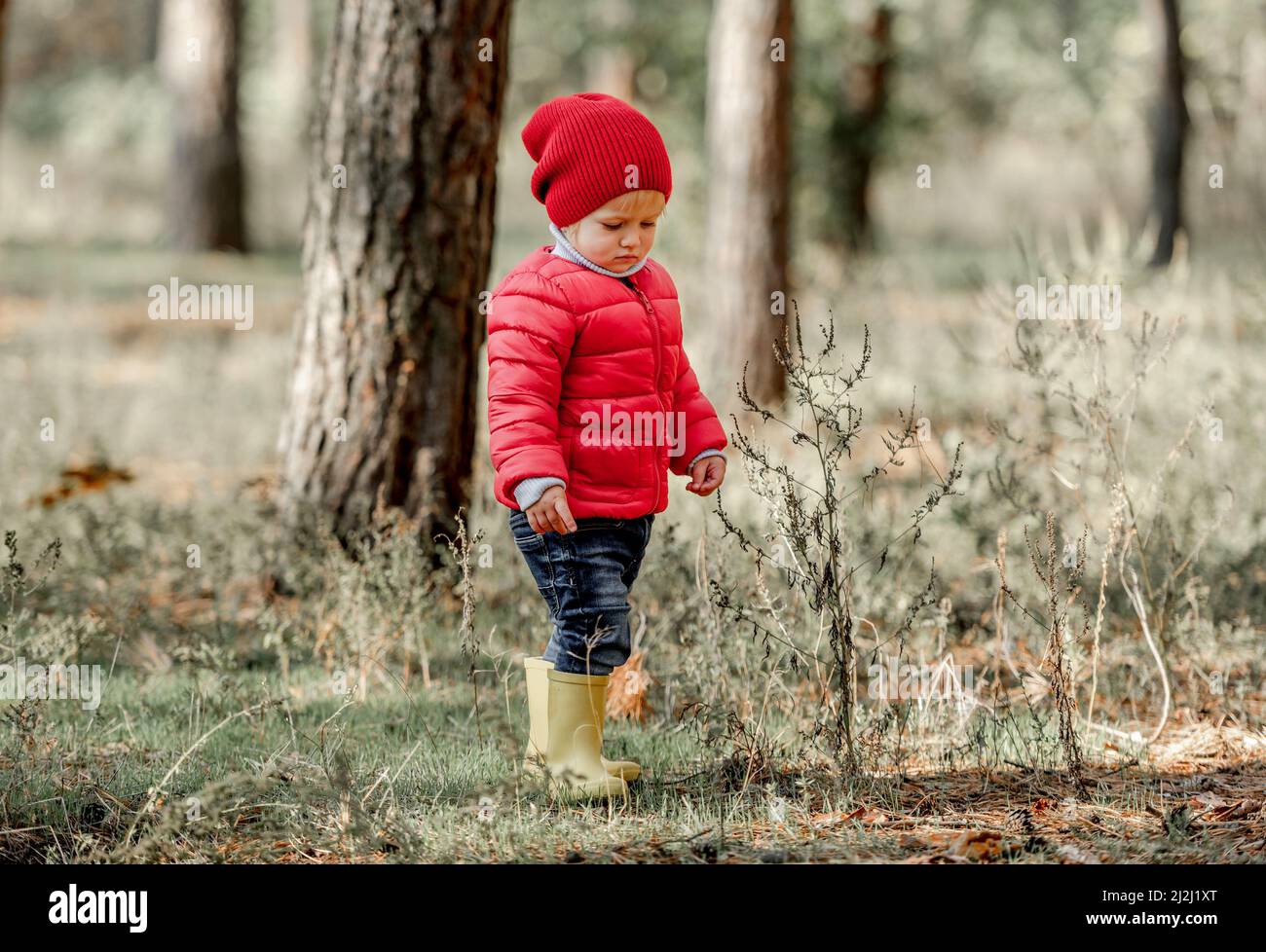 Little girl child walking in the forest at autumn . Female kid at ...