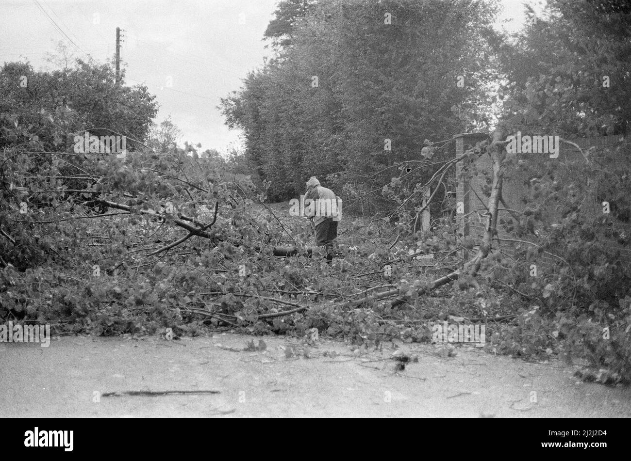 The great storm 1987 uk Black and White Stock Photos & Images - Alamy