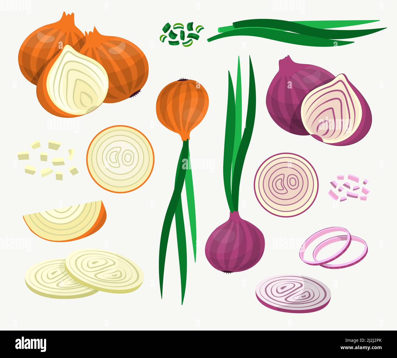 Fresh yellow and red onions vector illustrations set. Onions cut into ...
