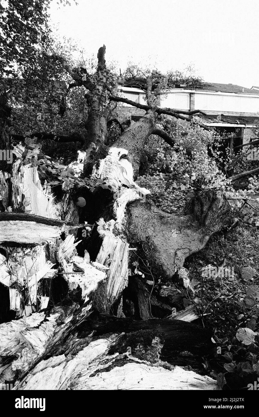 The great storm 1987 uk Black and White Stock Photos & Images - Alamy