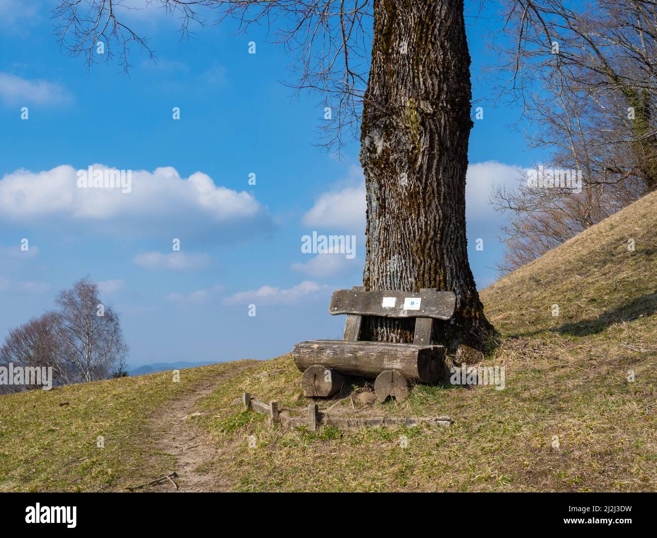 A beautiful bench at the side of a hiking trail invites for a rest ...