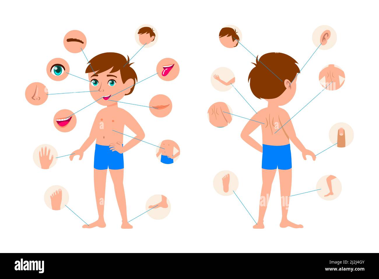 Body parts of little cartoon boy vector illustrations set. Cute kid ...