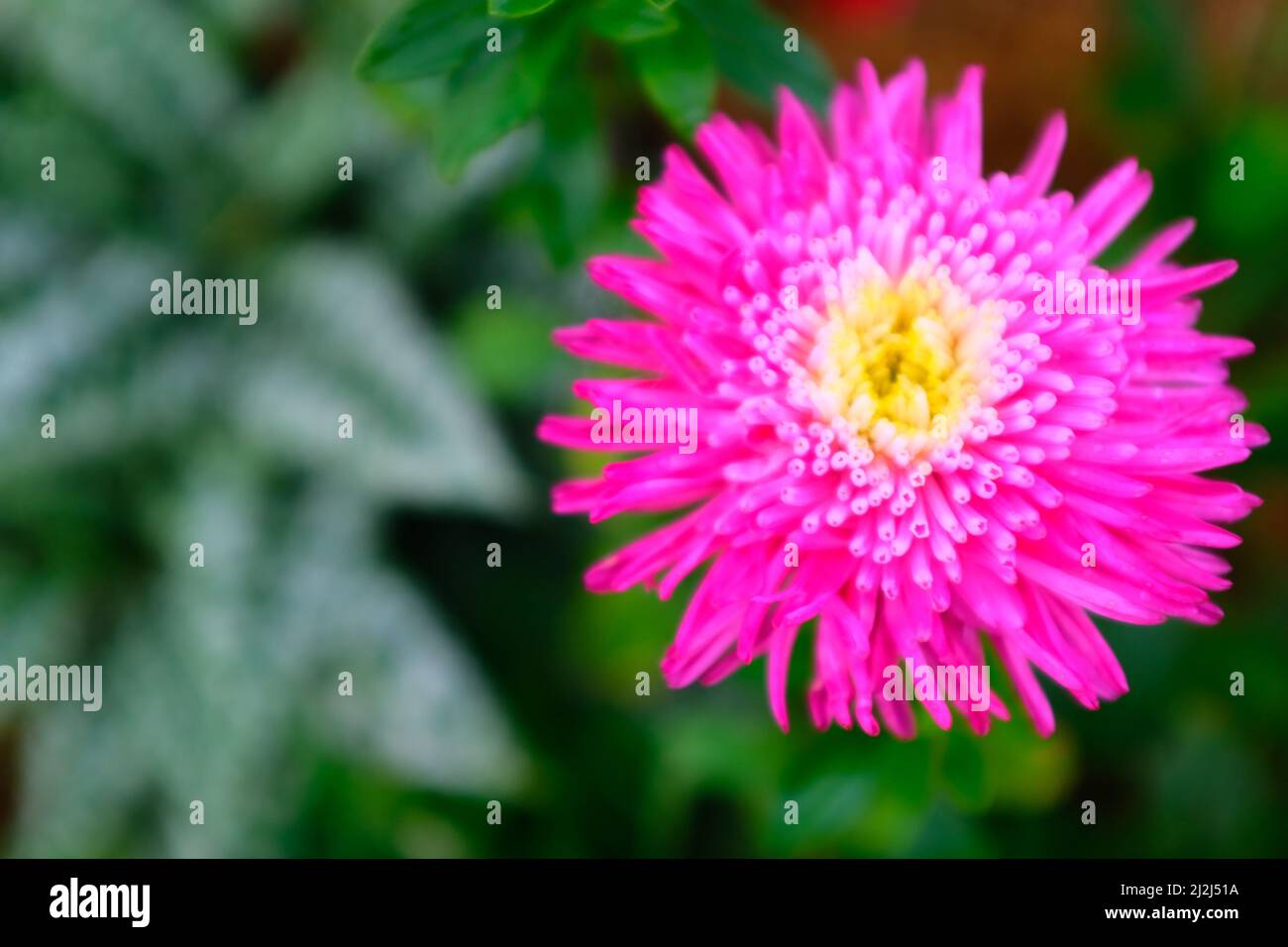 Ast design hi-res stock photography and images - Alamy