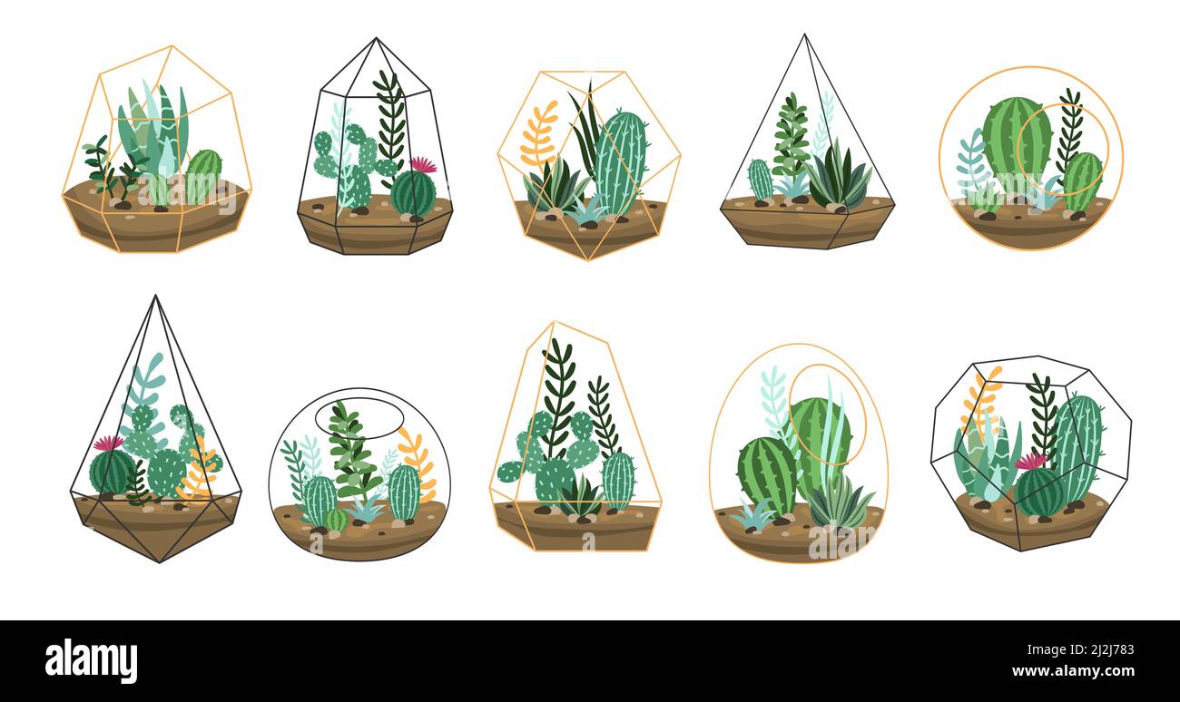 Set of cactuses and succulents in doodle terrarium. Florarium cartoon ...