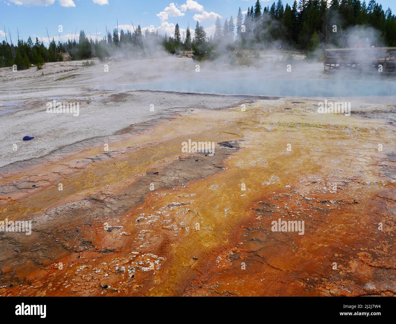 Layers of bacteria hi-res stock photography and images - Alamy