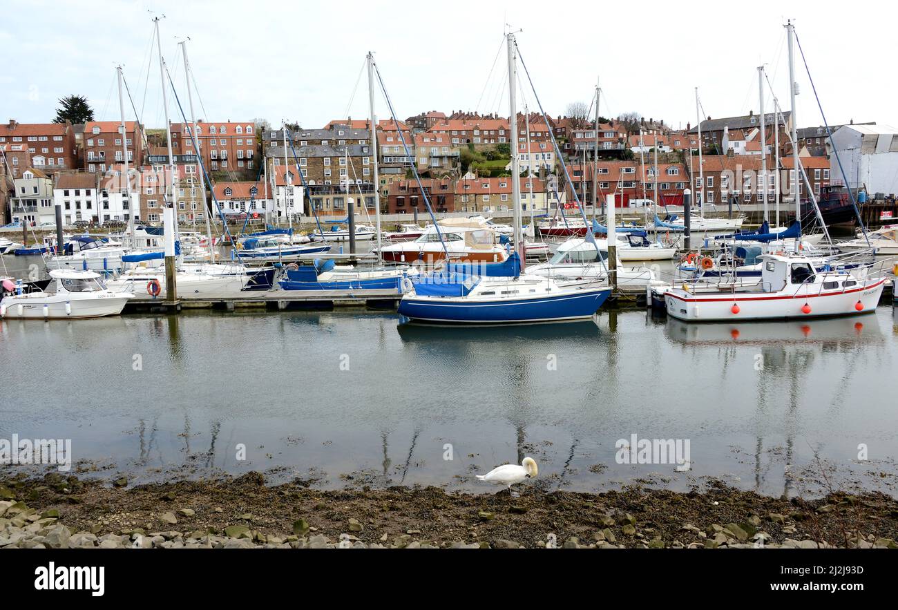 whitby in yorkshire Stock Photo - Alamy