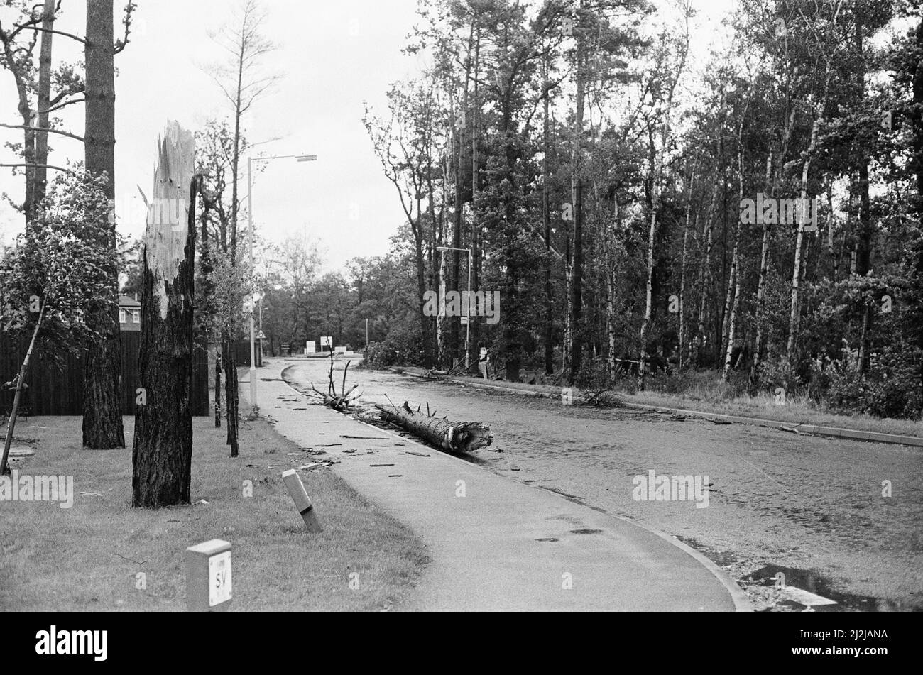 The Great Storm October 1987. Our Picture Shows . . . storm damage ...