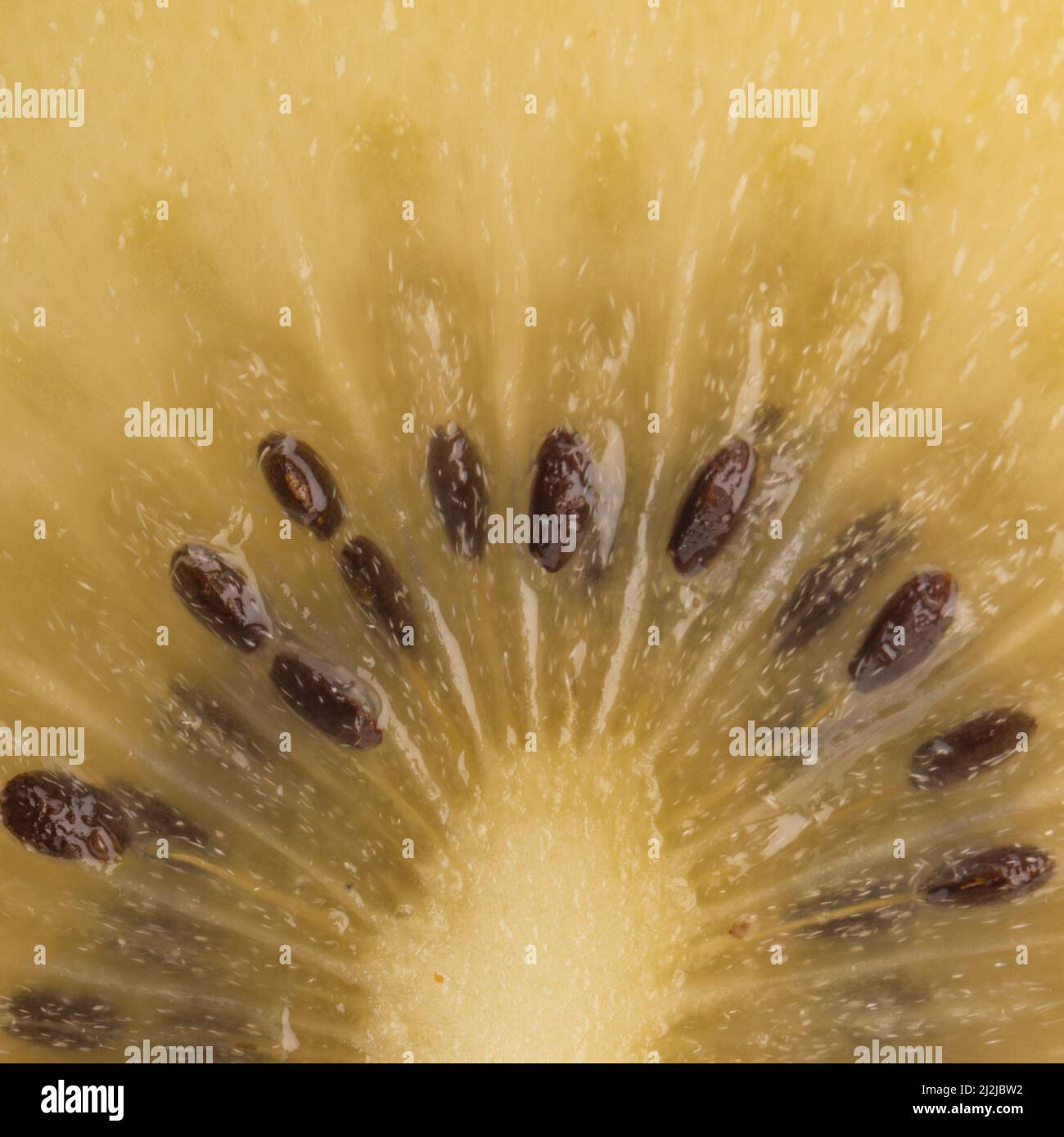 A macro shot of the details of the inside of a fruit Stock Photo - Alamy