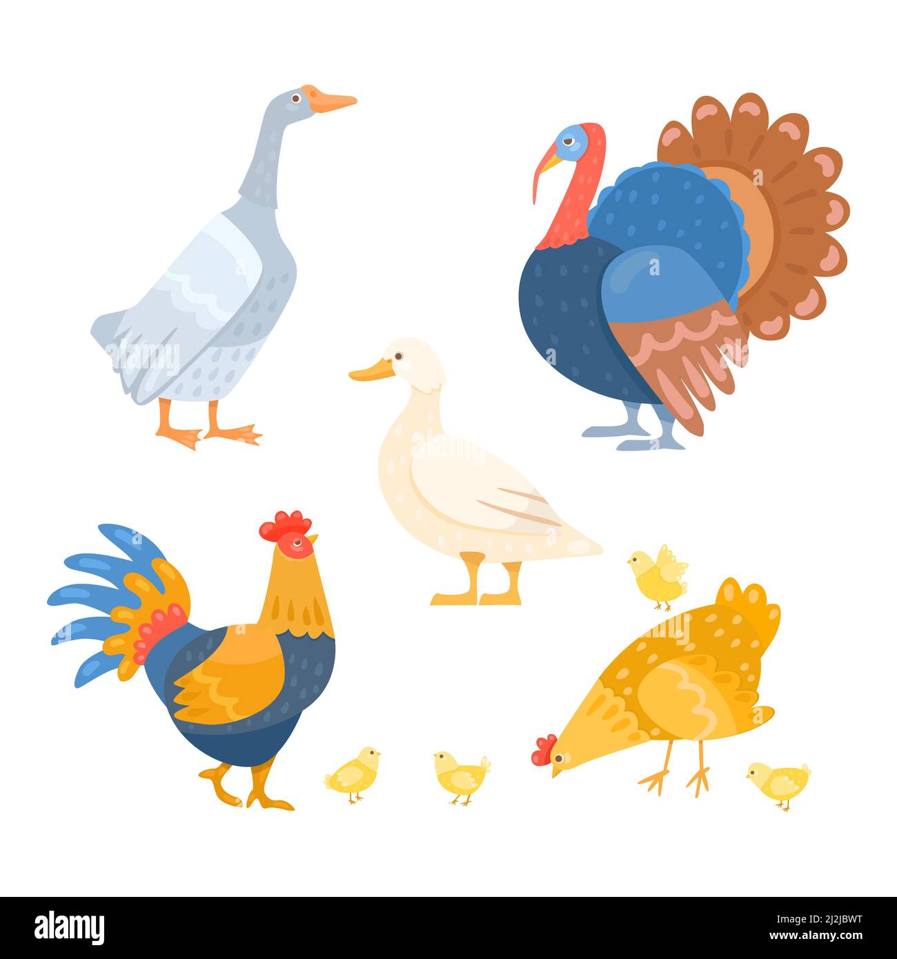 Different farm birds set cartoon illustration set. Geese, turkey cock ...