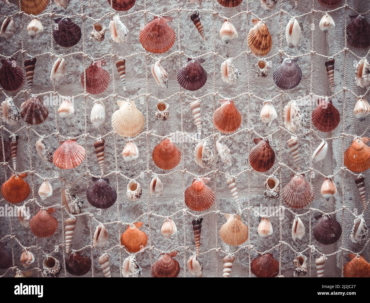 Background from colorful seashells on stone backing. Close-up shot ...