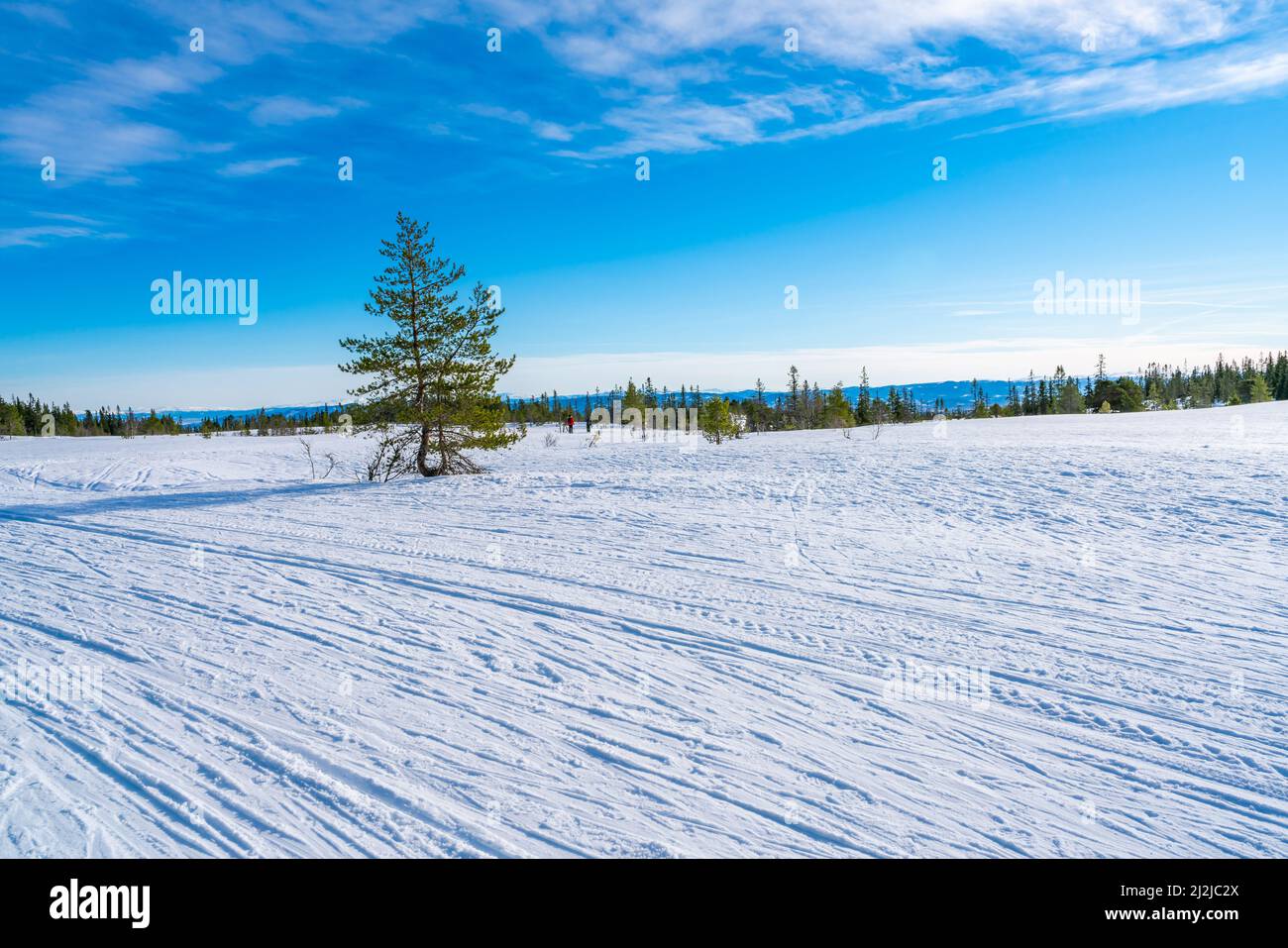 Trondheim norway landscape snow frost hi-res stock photography and ...