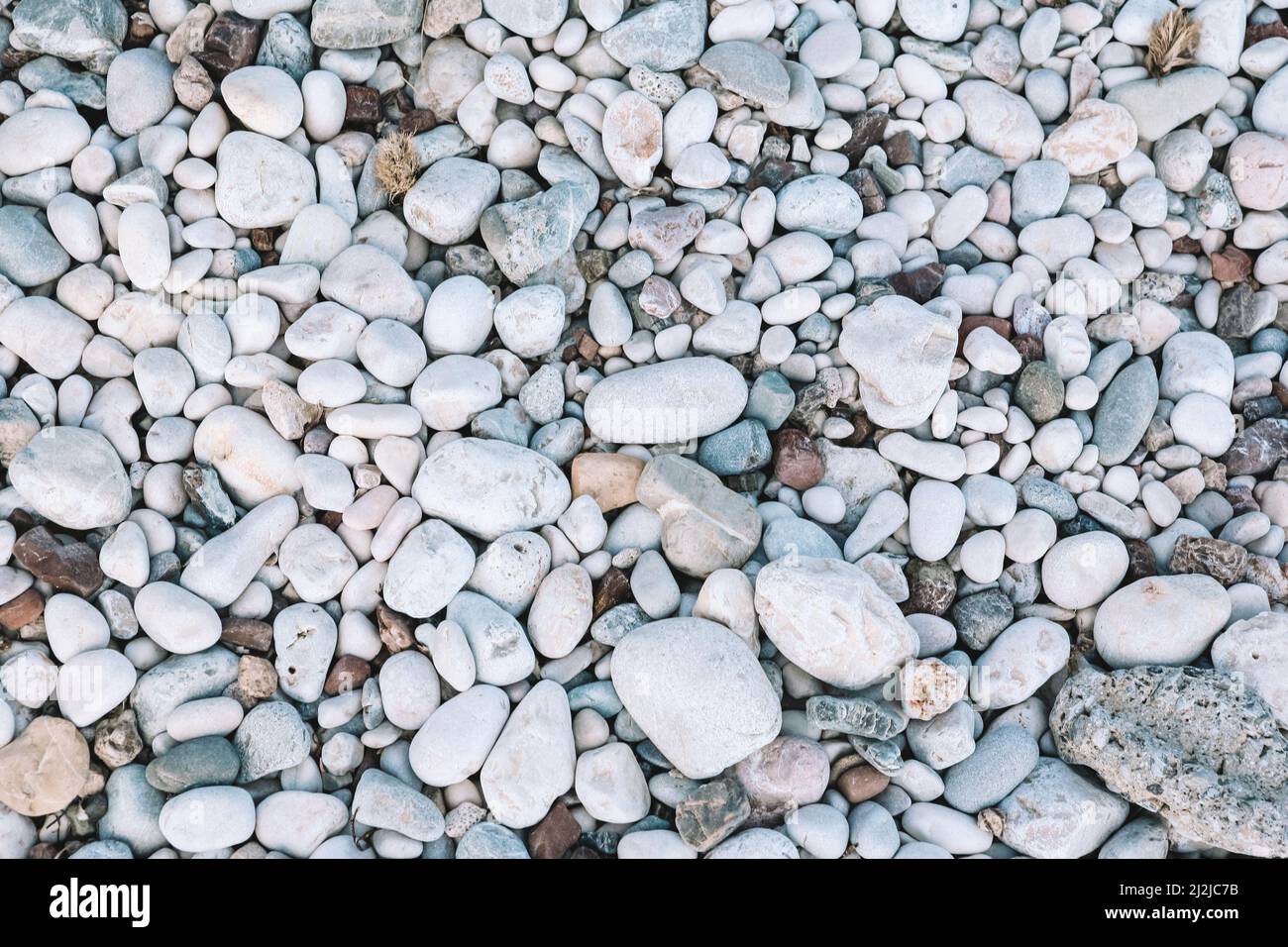 Sea pebbles on the beach. Close-up shot. Small and big roundish smooth ...