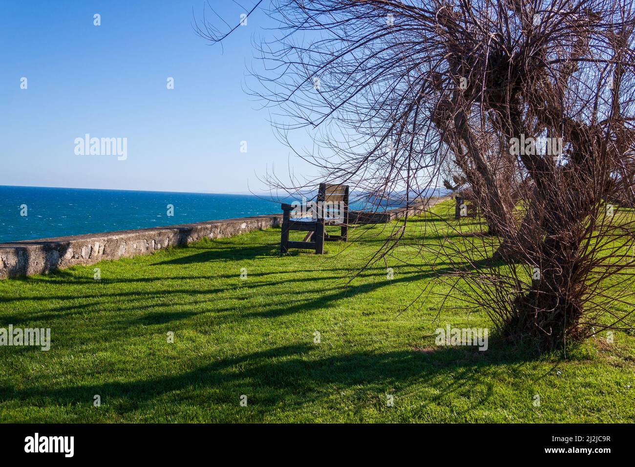 A beautiful seaside view with leafless trees and empty benches in ...