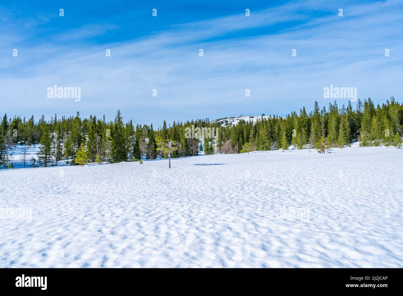 Trondheim norway landscape snow frost hi-res stock photography and ...