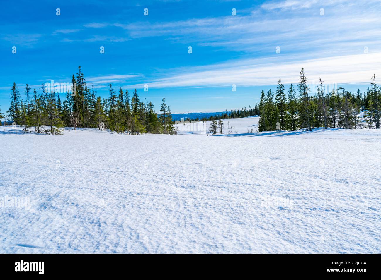 Trondheim norway landscape snow frost hi-res stock photography and ...