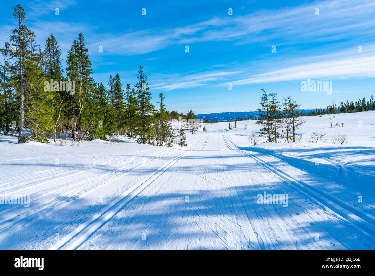 Winter landscape in snow covered Bymarka nature reserve in Trondheim ...