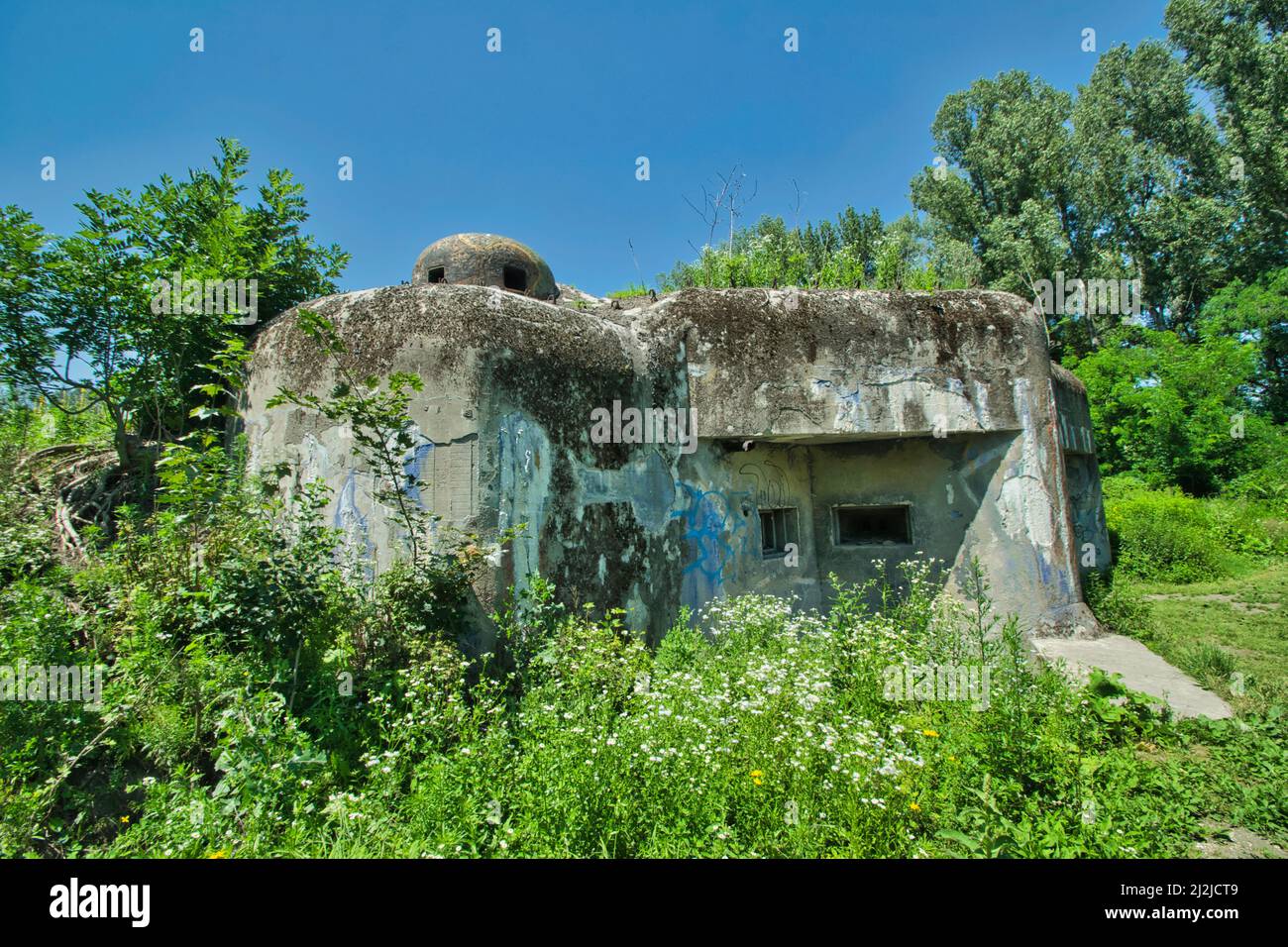 An old concrete bunker surrounded by grass and trees Stock Photo - Alamy