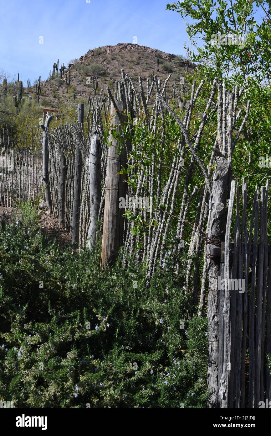 Skeleton fence hi-res stock photography and images - Alamy