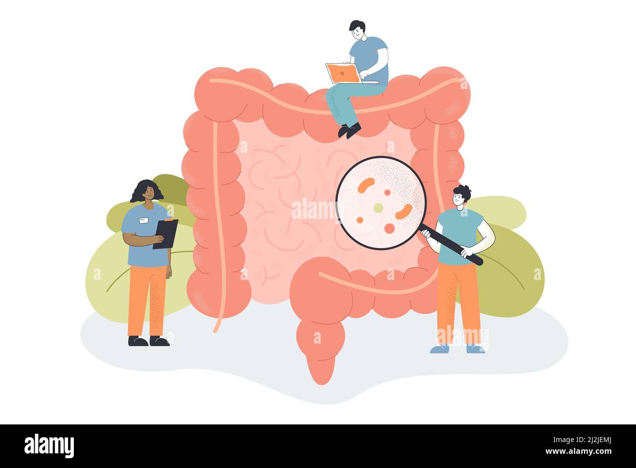 Digestive system cartoon Cut Out Stock Images & Pictures - Alamy