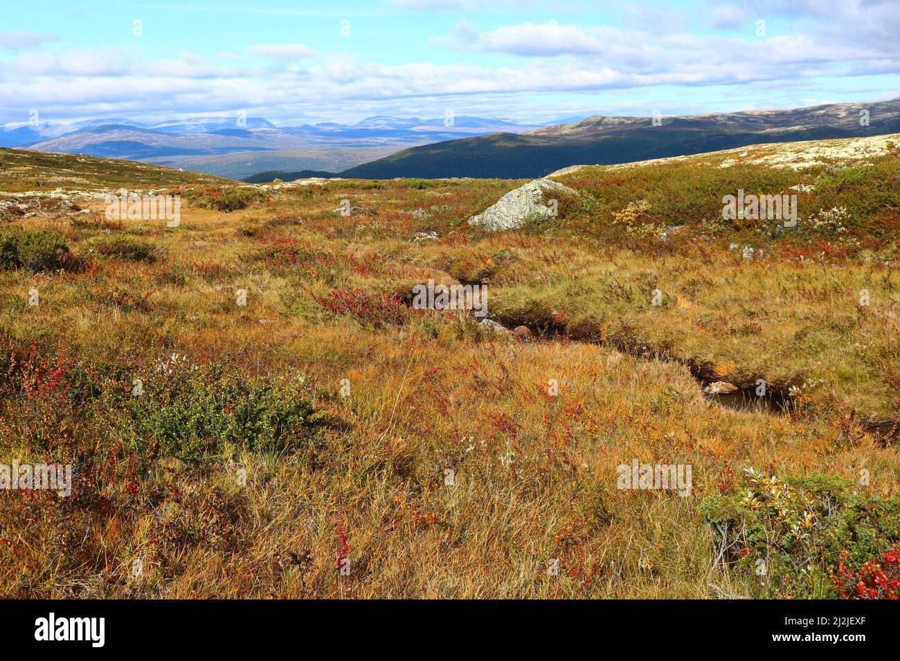 The beautiful green hill landscape scene, Portugal Stock Photo - Alamy