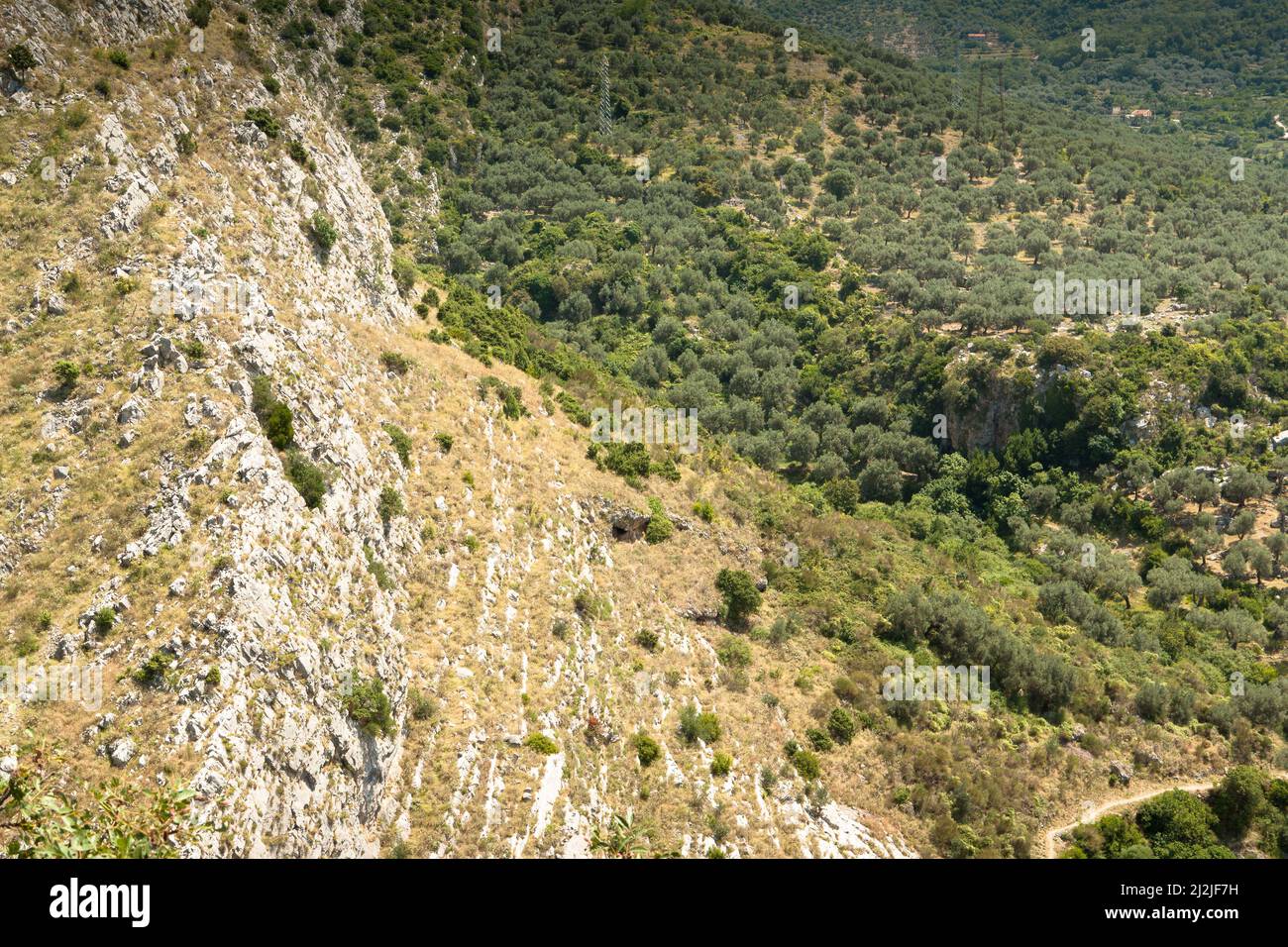 Aerial panoramic view of landscape of green mountains. The horizontal ...