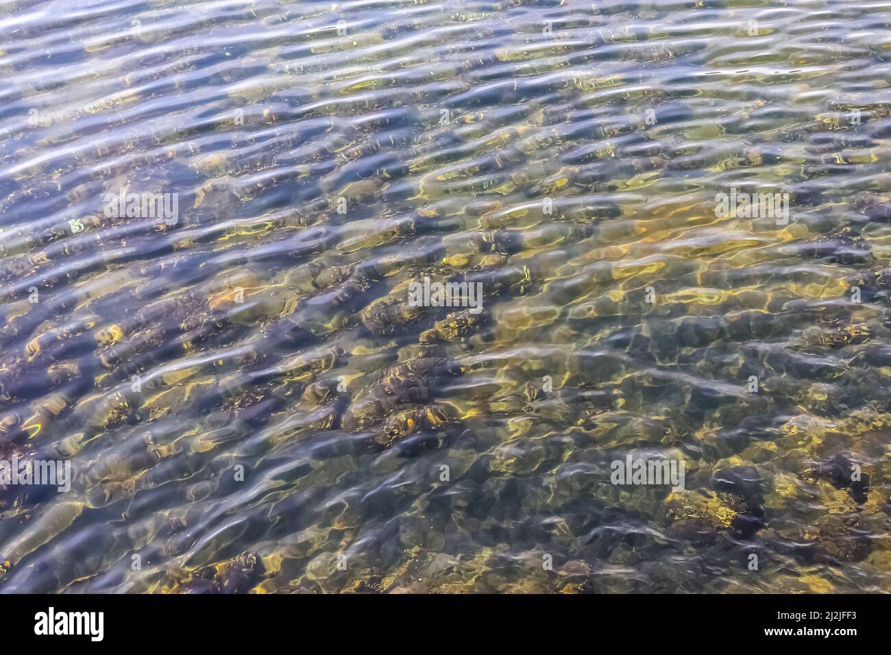 Water surface with waves and ripples and the sunlight reflecting light ...