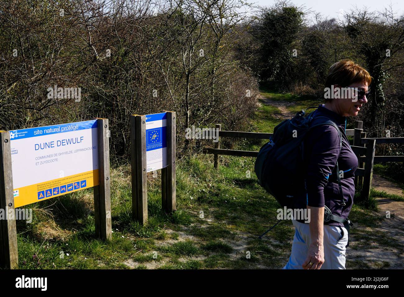 Dune Dewulf, Leffrinckoucke, Nord, Hauts-de-France, France Stock Photo ...