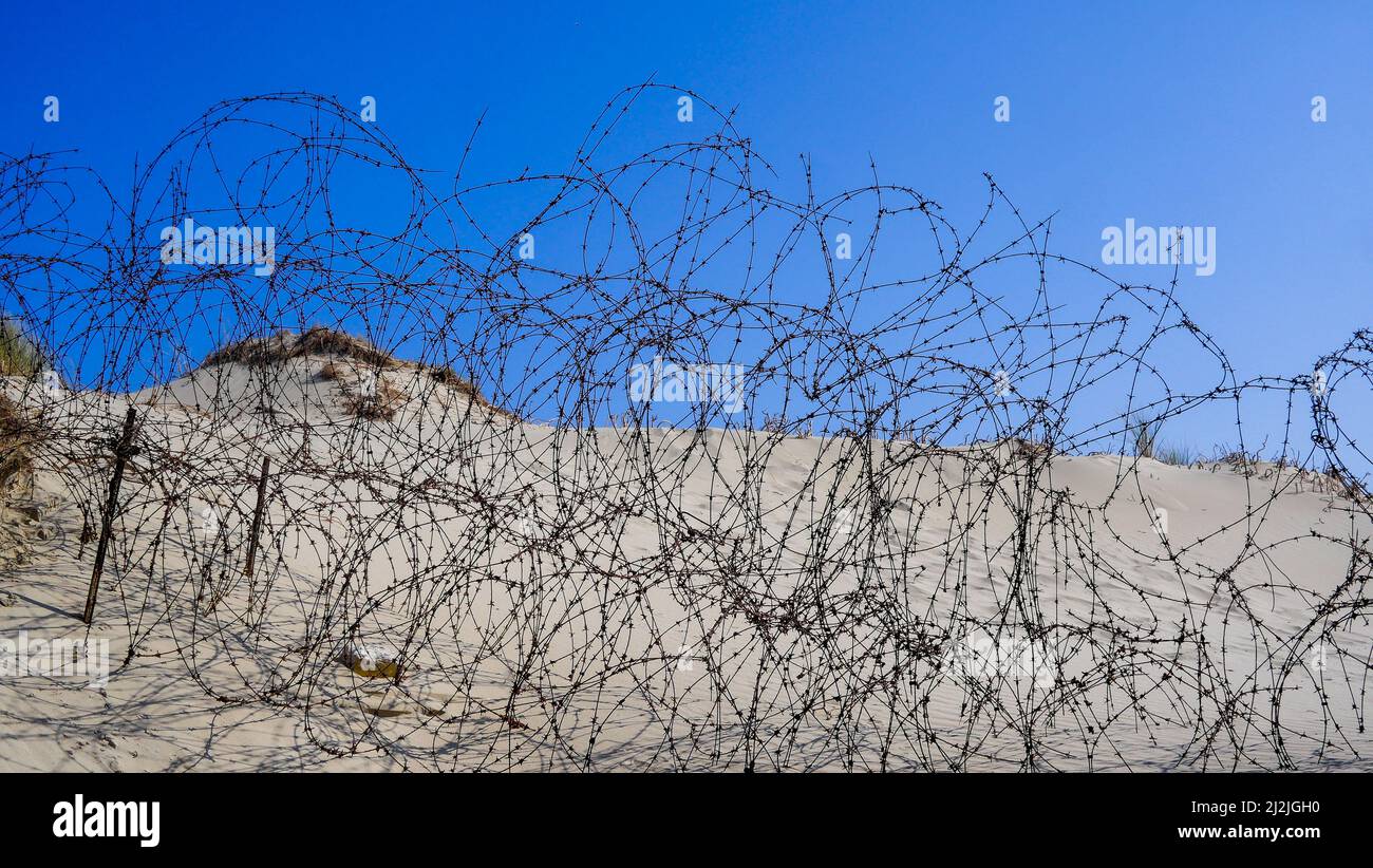 Rusted WWII barbed wire fence, Leffrinckoucke, Nord, Hauts-de-France ...