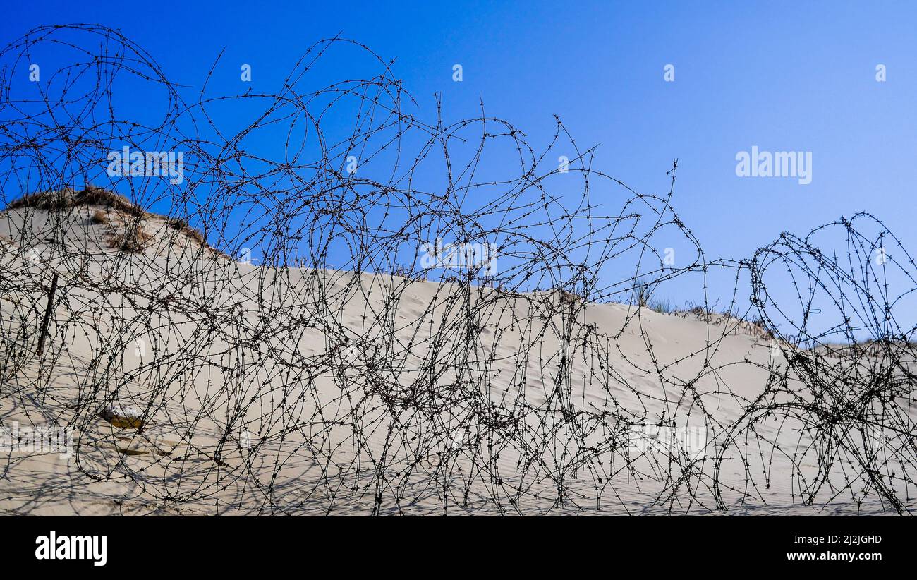 Rusted WWII barbed wire fence, Leffrinckoucke, Nord, Hauts-de-France ...