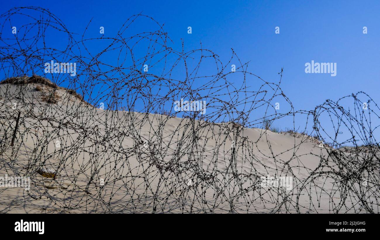 Rusted WWII barbed wire fence, Leffrinckoucke, Nord, Hauts-de-France ...