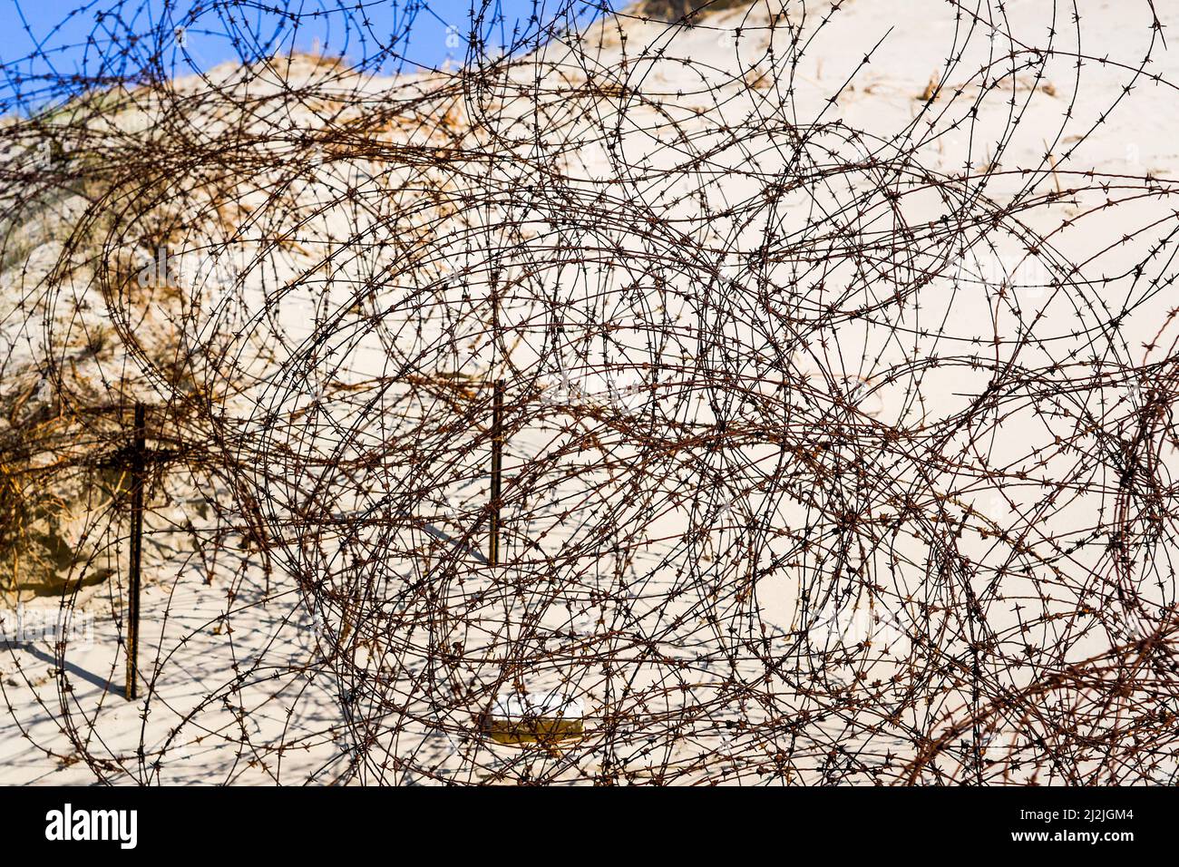 Rusted WWII barbed wire fence, Leffrinckoucke, Nord, Hauts-de-France ...