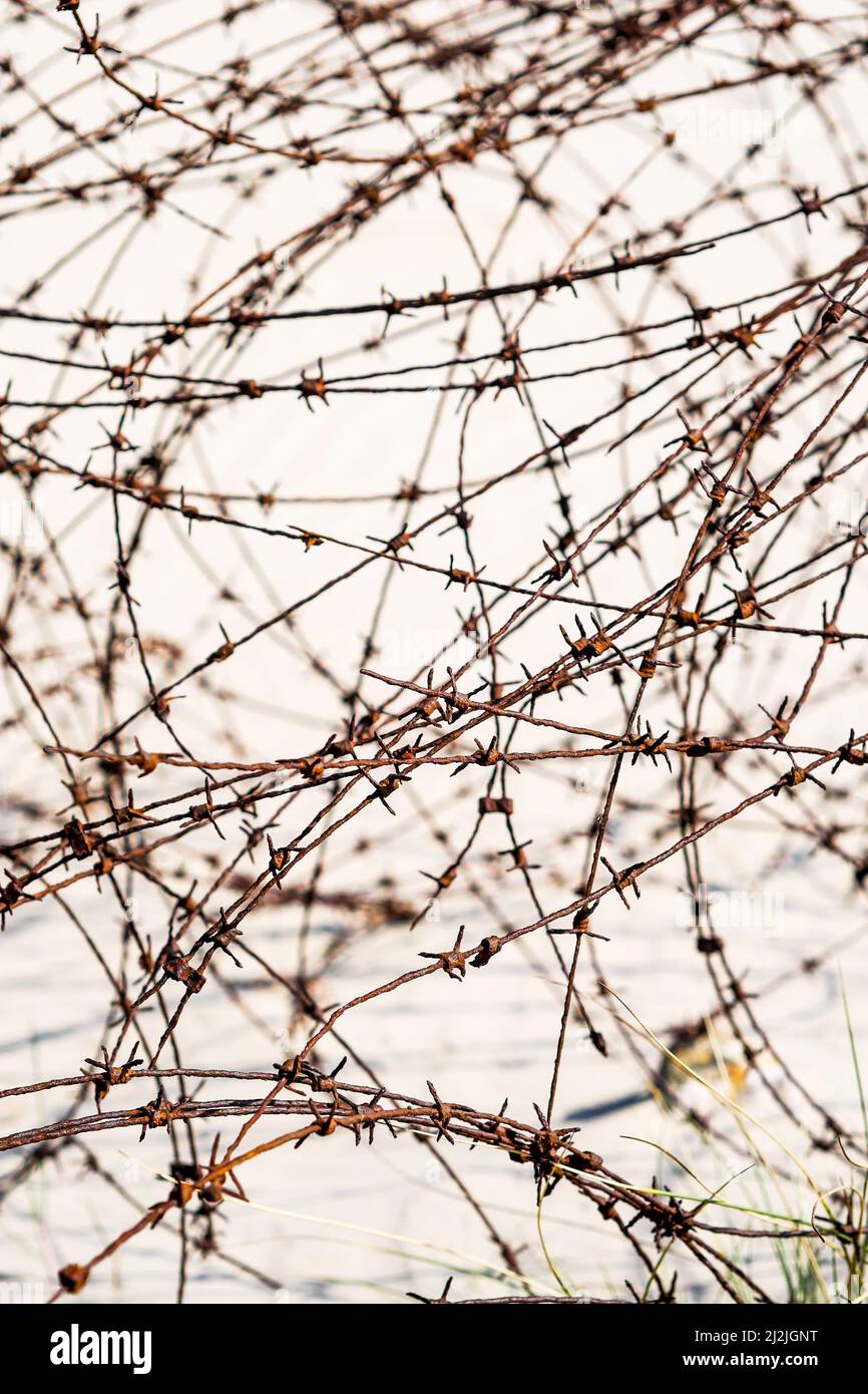 Rusted WWII barbed wire fence, Leffrinckoucke, Nord, Hauts-de-France ...