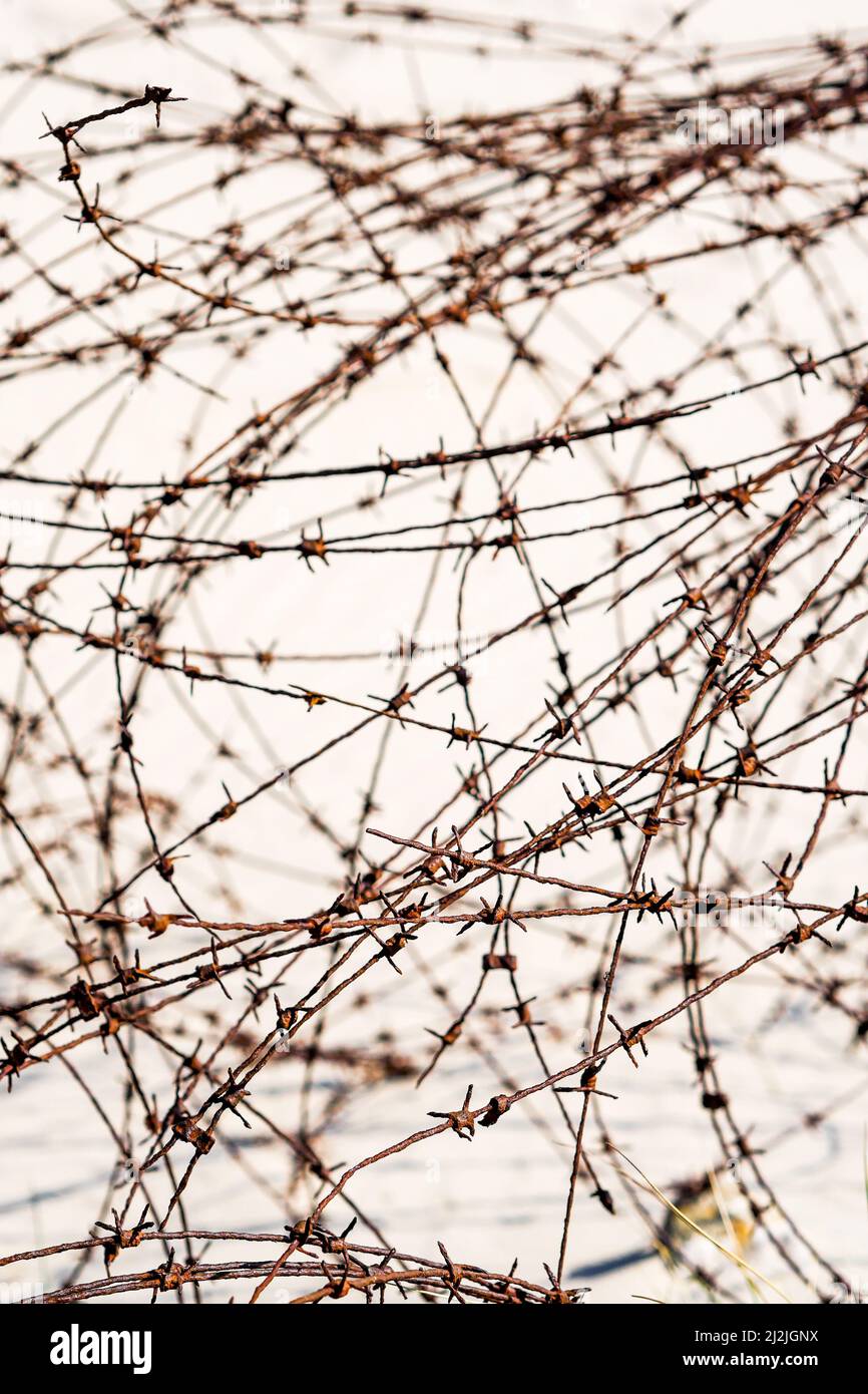 Rusted WWII barbed wire fence, Leffrinckoucke, Nord, Hauts-de-France ...