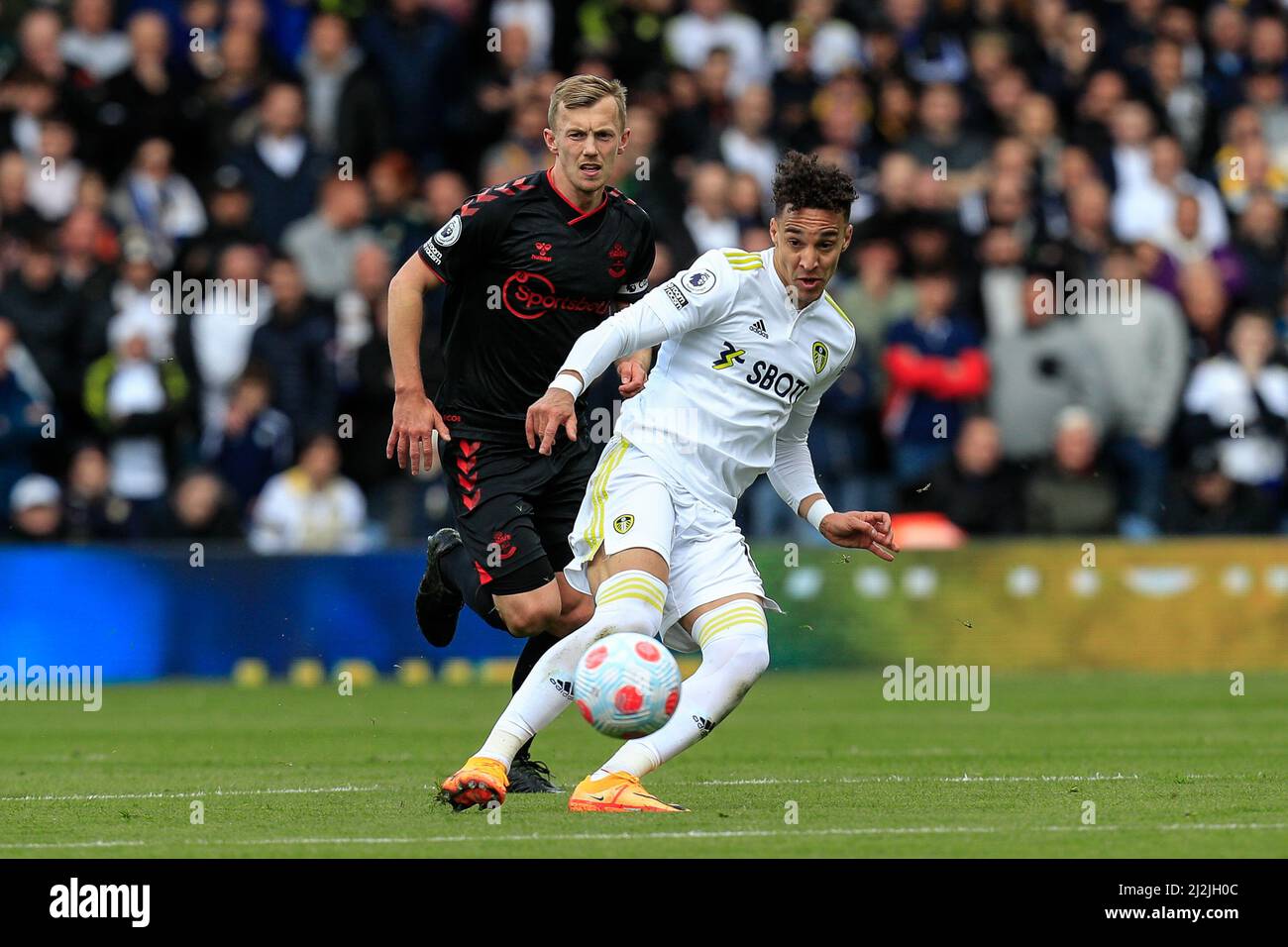Rodrigo leeds southampton hi-res stock photography and images - Alamy