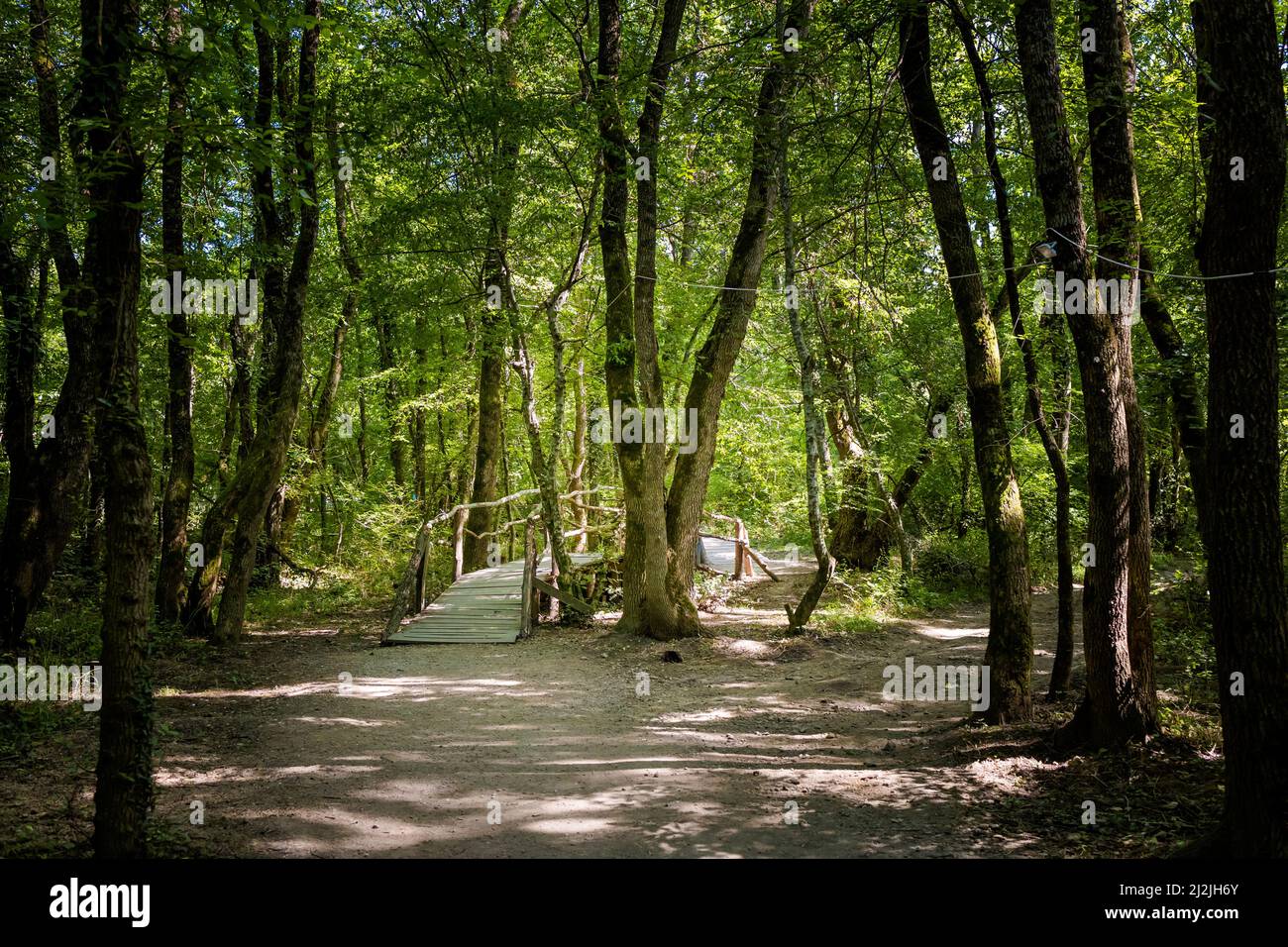 Summer photo of beautiful Ropotamo nature reserve in Bulgaria, Burgas ...