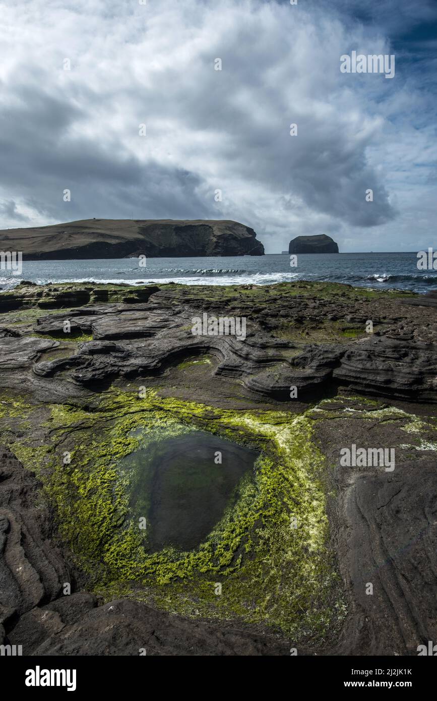 Iceland rock pools and coastline Stock Photo - Alamy