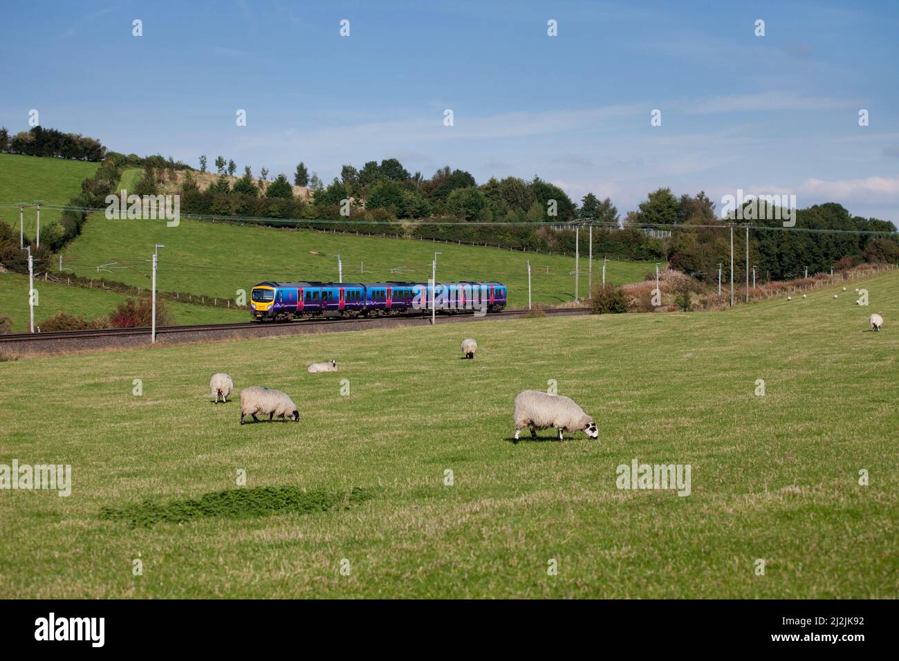 Tpe livery hi-res stock photography and images - Alamy