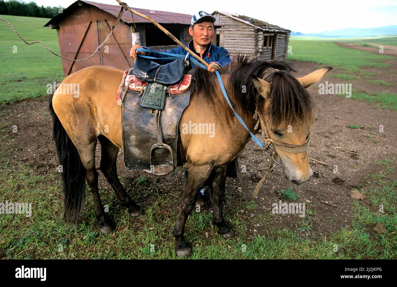Mongolia. A sheperd in his farm with a horse Stock Photo - Alamy