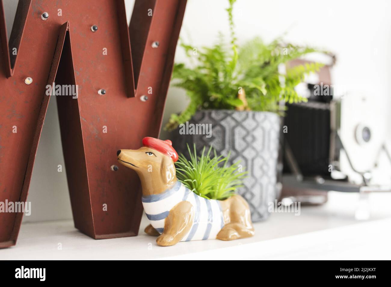 A selective of decorations and plants near the wall Stock Photo - Alamy